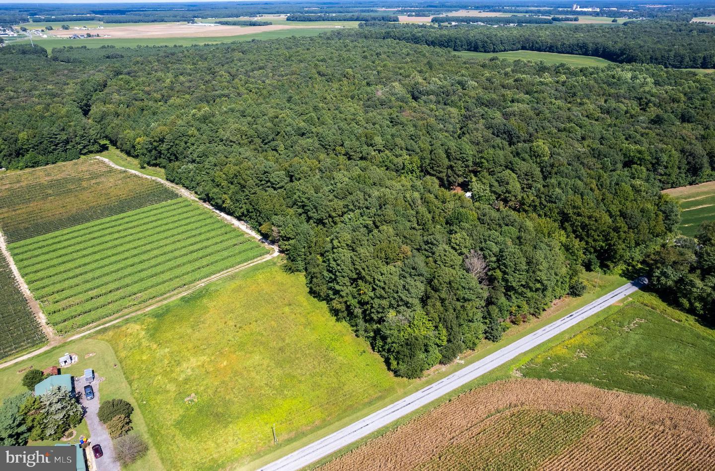 Unimproved Lot Big Pine Rd, Bridgeville, DE 19933 - MLS DESU2048436 ...