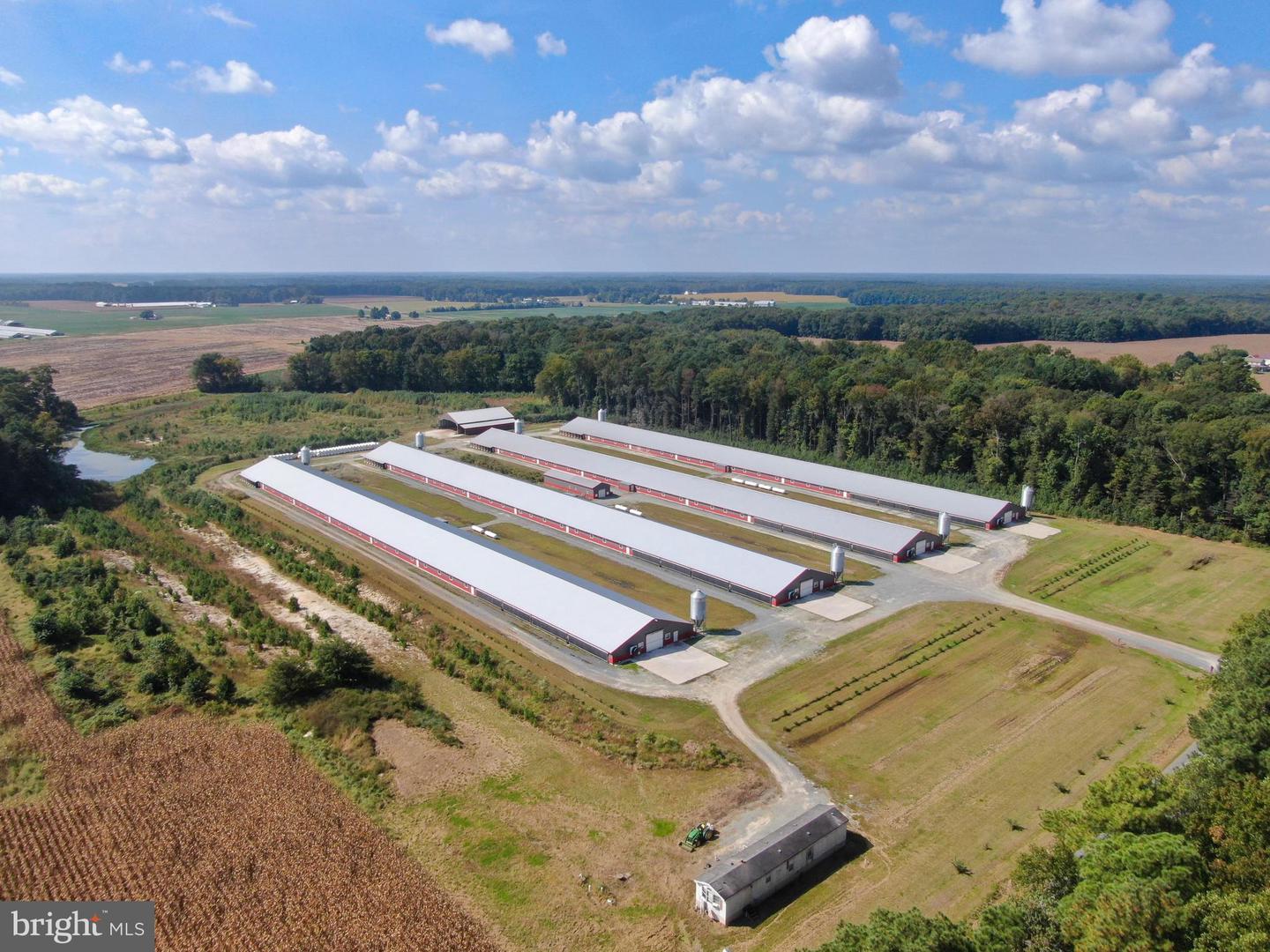 14214 Woodbridge Rd, Greenwood, DE 19950 - MLS DESU2052622 - Coldwell ...