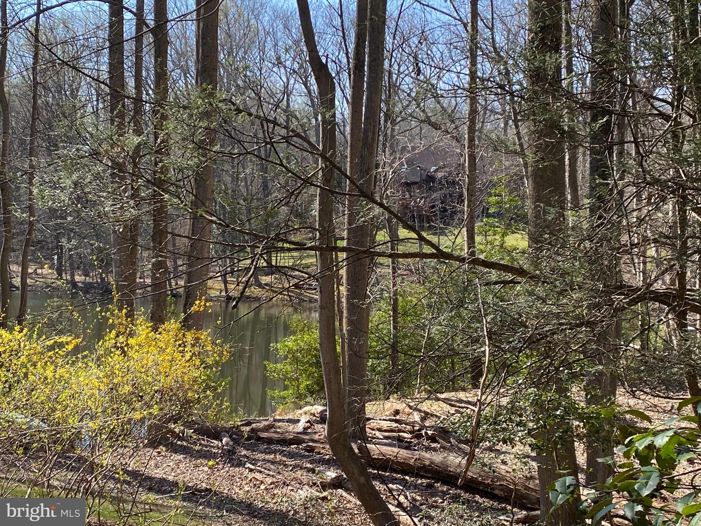 Vale Spring Dr, Oakton, VA 22124 - MLS VAFX2117586 - Coldwell Banker