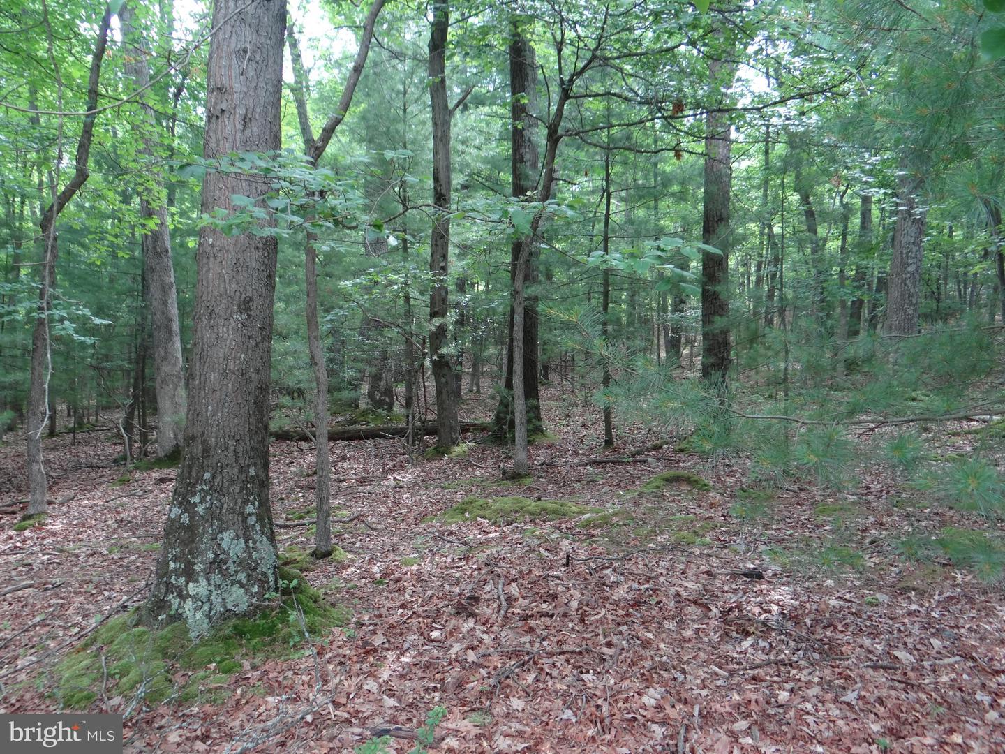 51 Hirschmann Rd, Biglerville, PA 17307 - MLS PAAD2010492 - Coldwell Banker